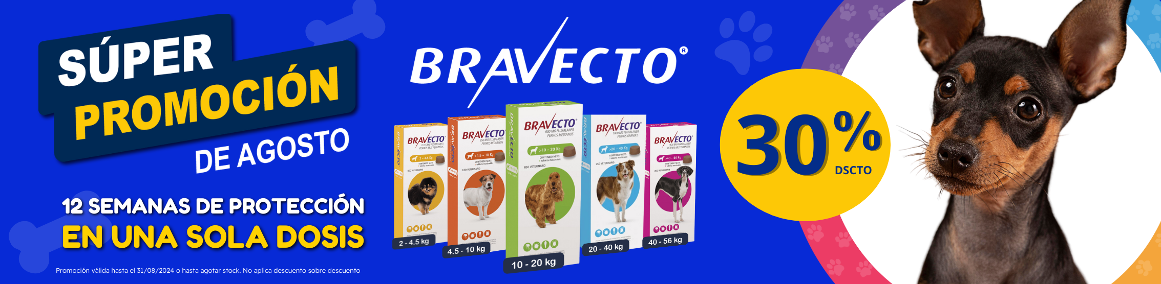 Pikotin – Donde las mascotas son parte de la familia